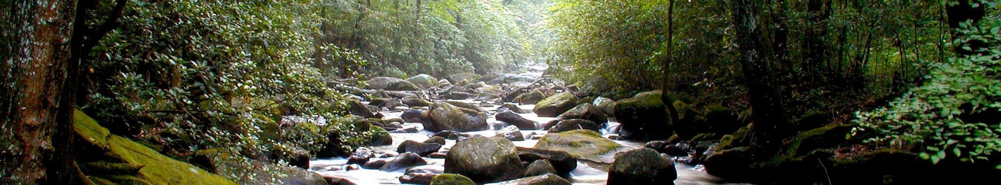 M. Shane Stevenson, DMD, MD - Oral and Maxillofacial Surgery